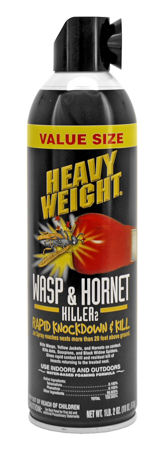 Wasp and Hornet Killer Spray