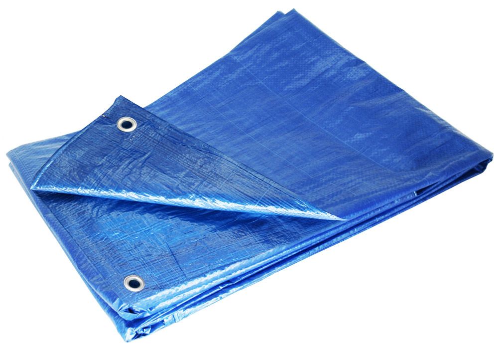 Blue 30 x 50 Tarp