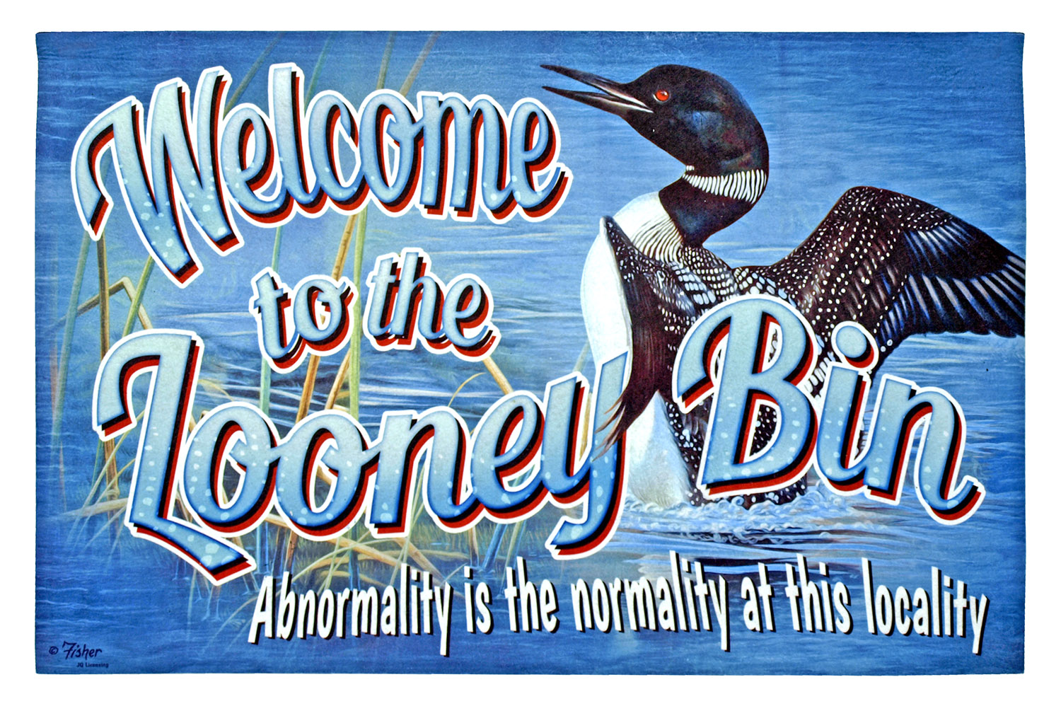 Welcome to the Looney Bin - Door Mat