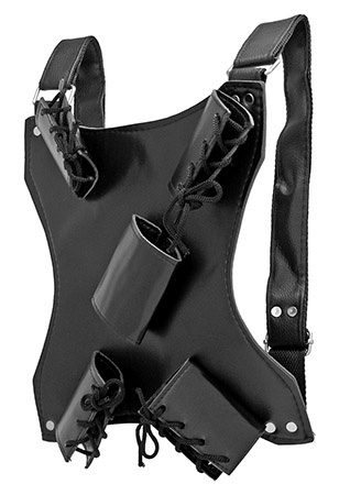 Dual Sword Back Harness