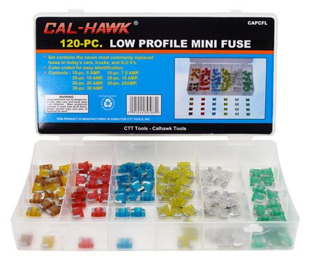 120-pc. Low Profile Mini Fuse